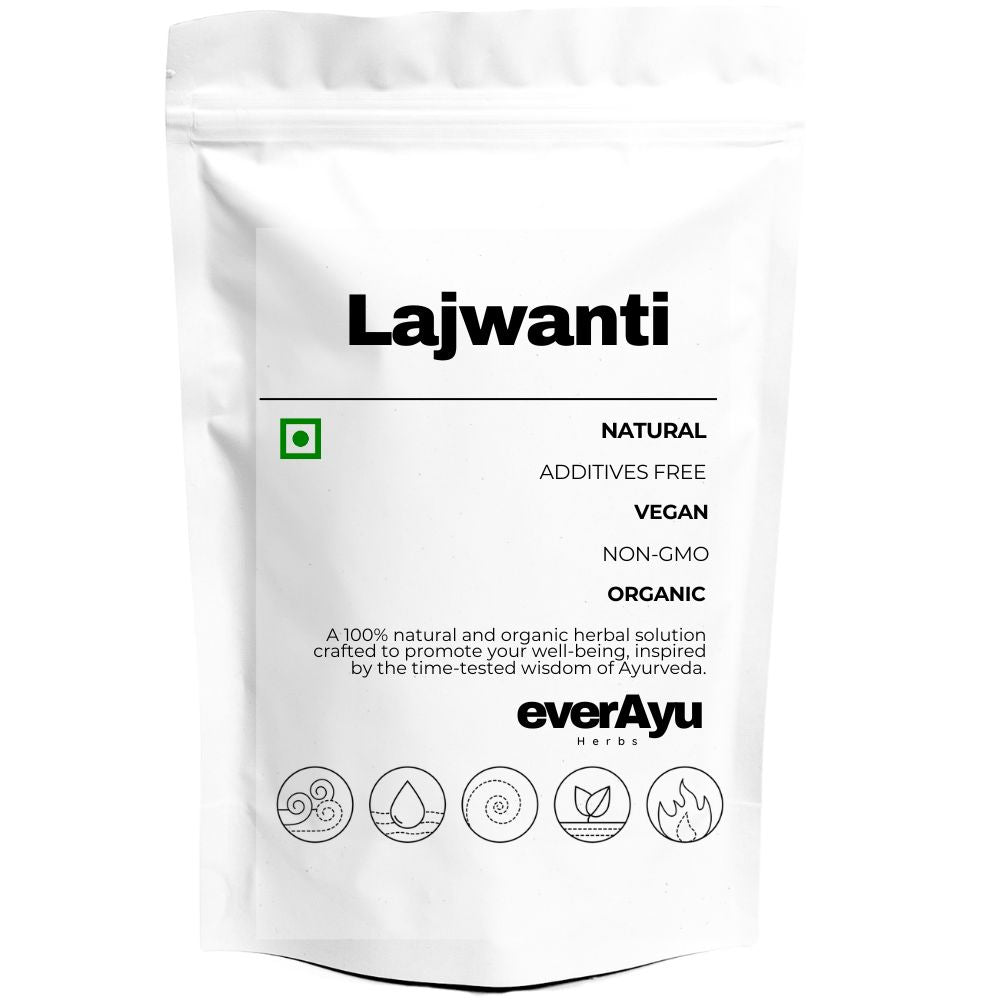 Lajwanti (Mimosa pudica): The Sensitive Plant with Ancient Ayurvedic W ...