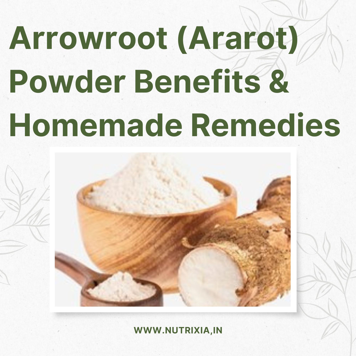 Arrowroot (Ararot) Powder Benefits & Homemade Remedies - Nutrixia Food ...