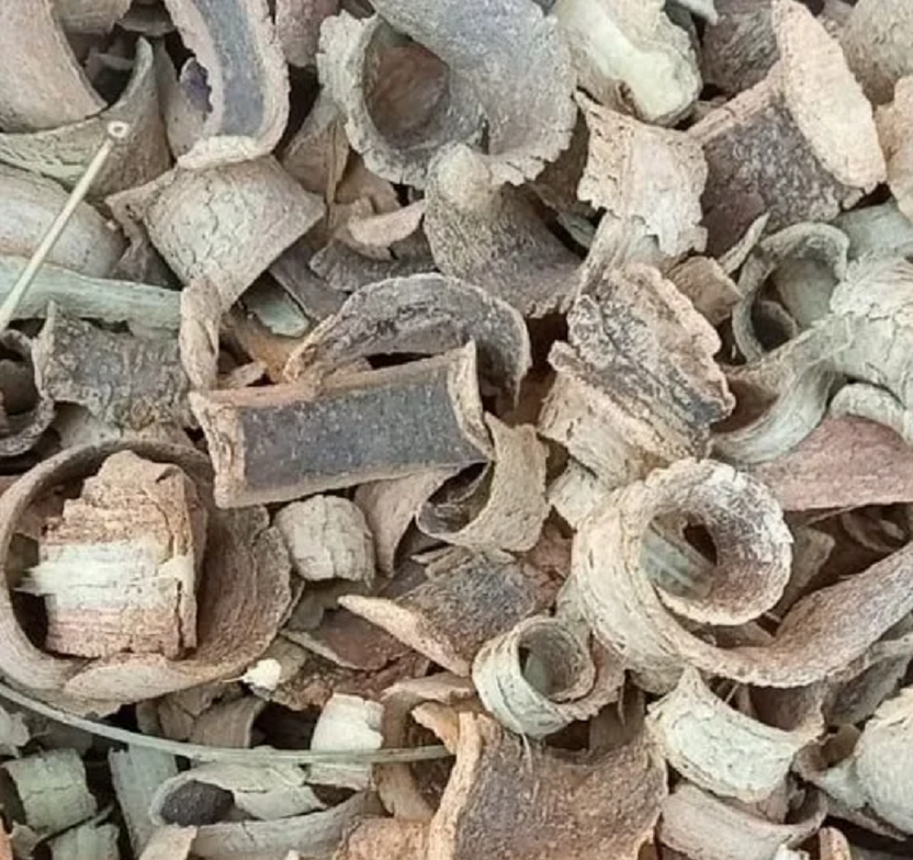 Kuda Chhal Kutaj Chaal Chal कुटज छाल Holarrhena Antidysenterica – everAyu